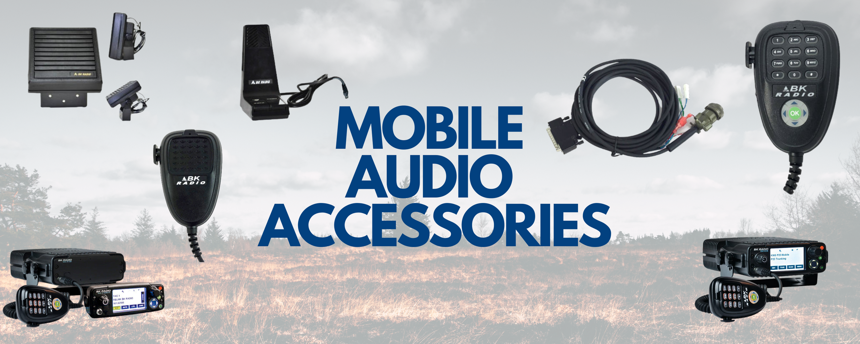 Audio Accessories — bendixkingradios