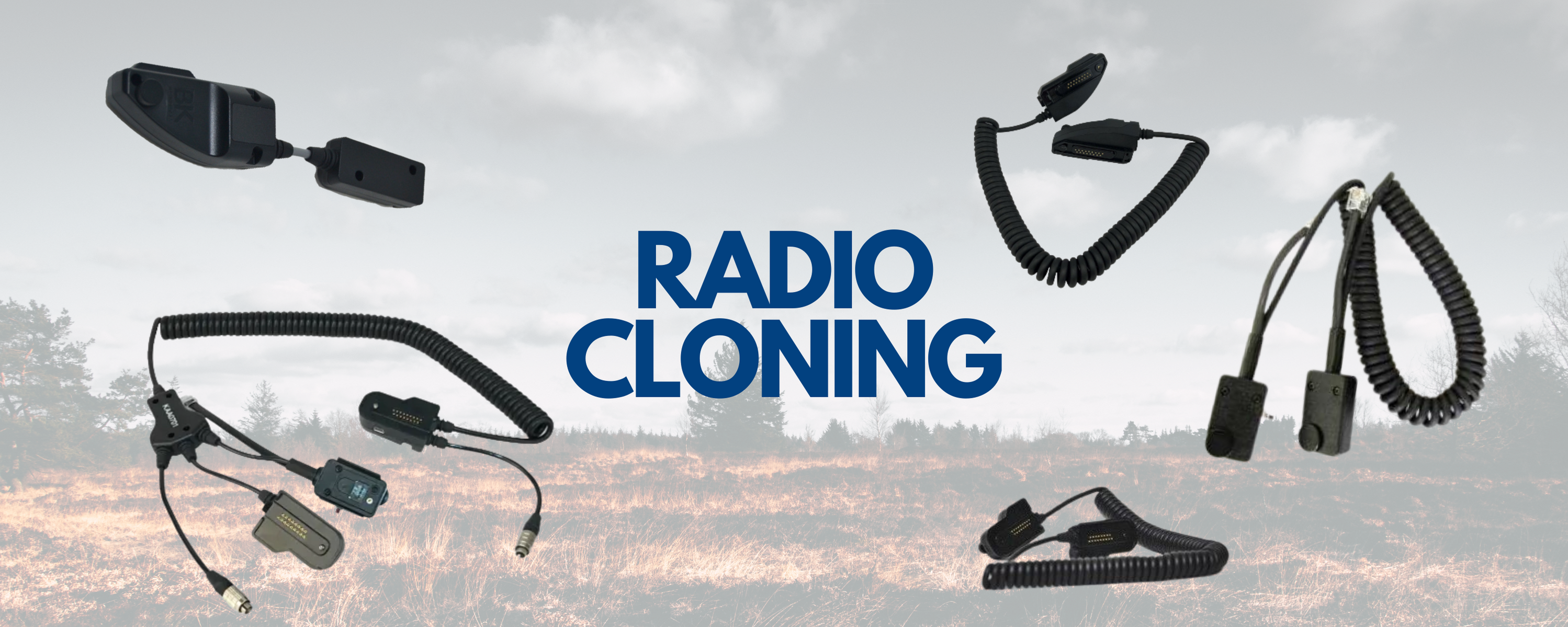 Cloning — bendixkingradios